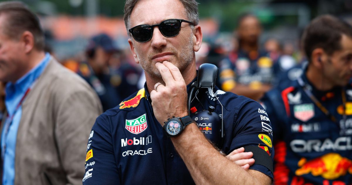 Christian Horner makes feelings clear as one Sky F1 question 'drives ...